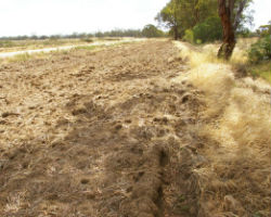 How to use Firebreaks: Your key weapon against grassfires
