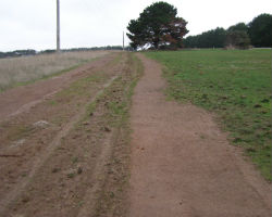 How to use Firebreaks: Your key weapon against grassfires